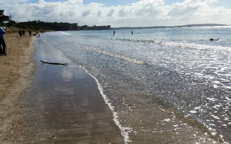 Long Bay Regional Park | Freedom/Basic Camp | New Zealand